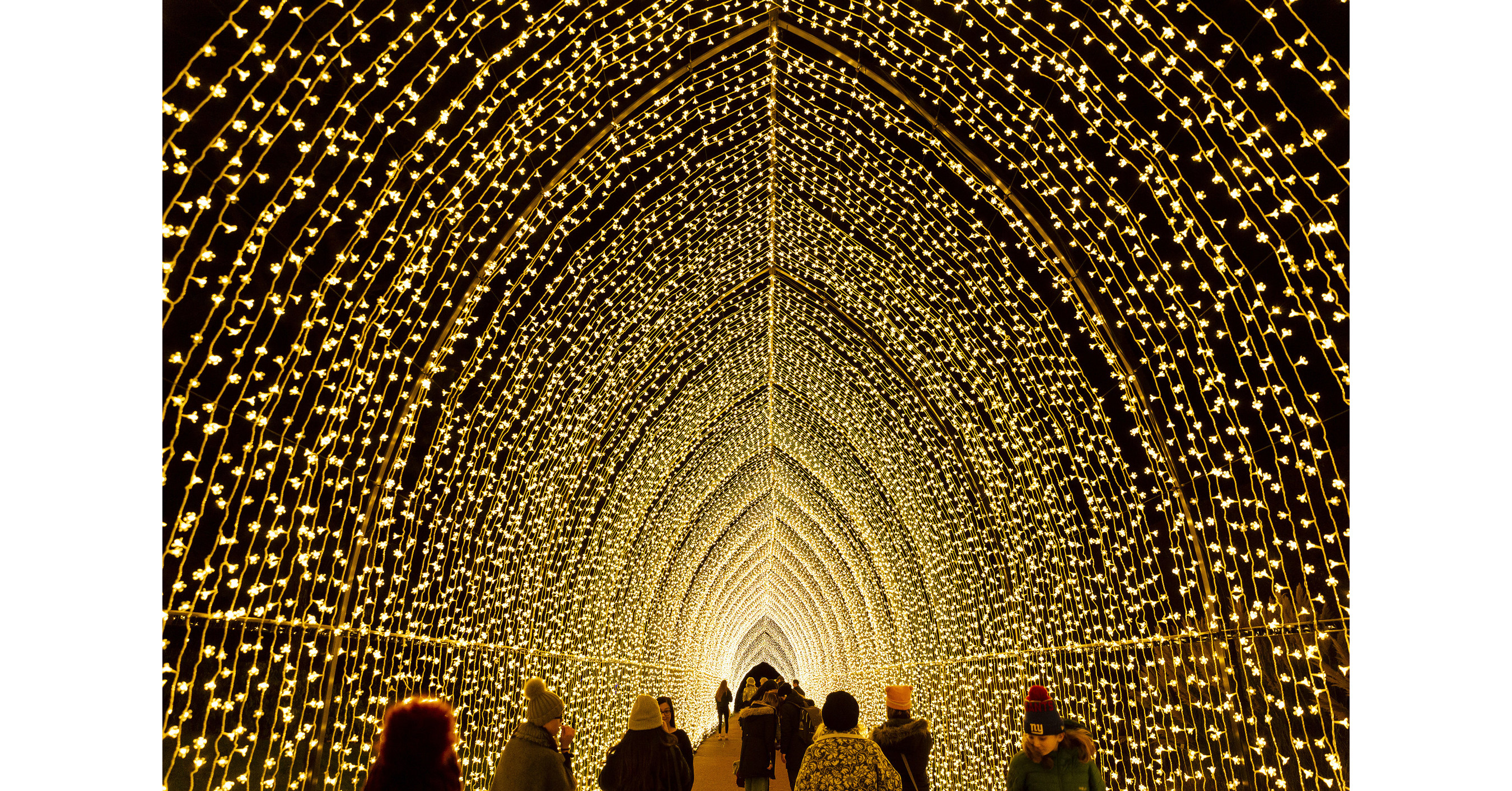 Unleash Your Inner Sparkle This Holiday Season At Lightscape